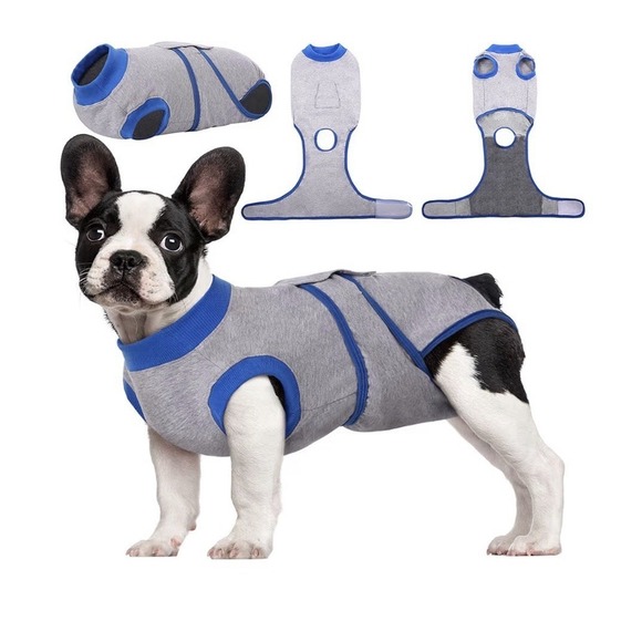 Kuoser | Dog | Dogs Cats After Surgery Pet Recovery Shirt Abdominal ...